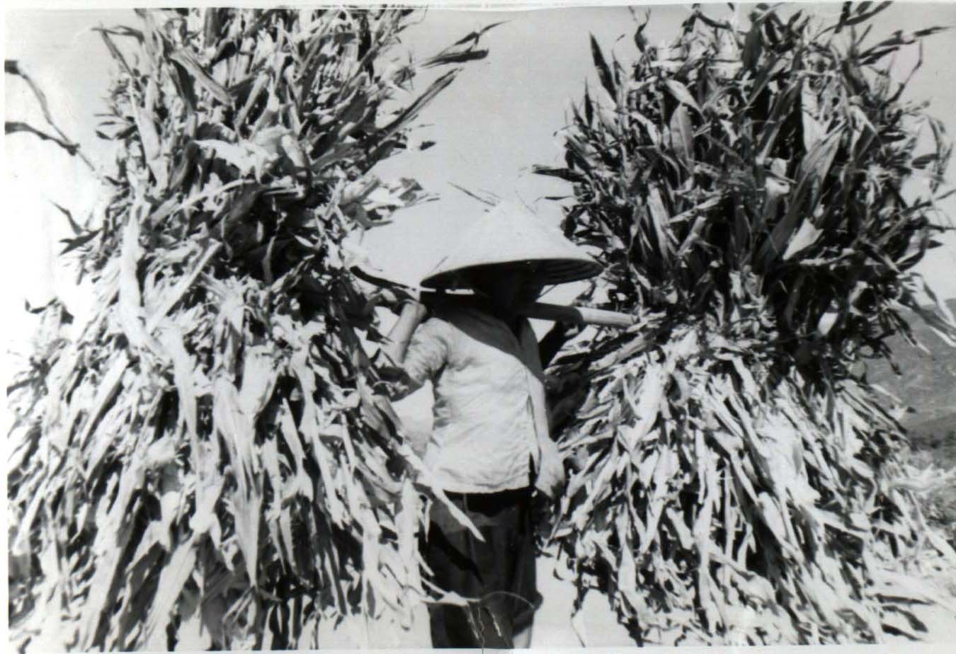 Gook on the Road with load | Hotel 2/5 Vietnam Marines